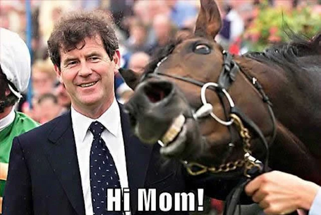 Kentucky Derby Memes & Jokes That Will Make Even Non-Racing Fans LOL