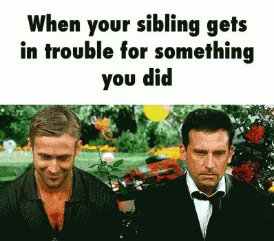 13 Hilarious Brother Memes From A Sister On National Siblings Day