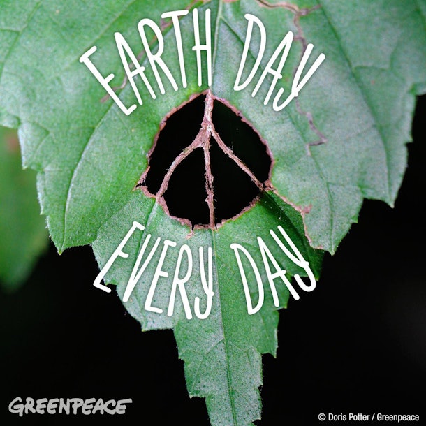 12 Earth Day 2018 Memes To Keep Your News Feed Woke