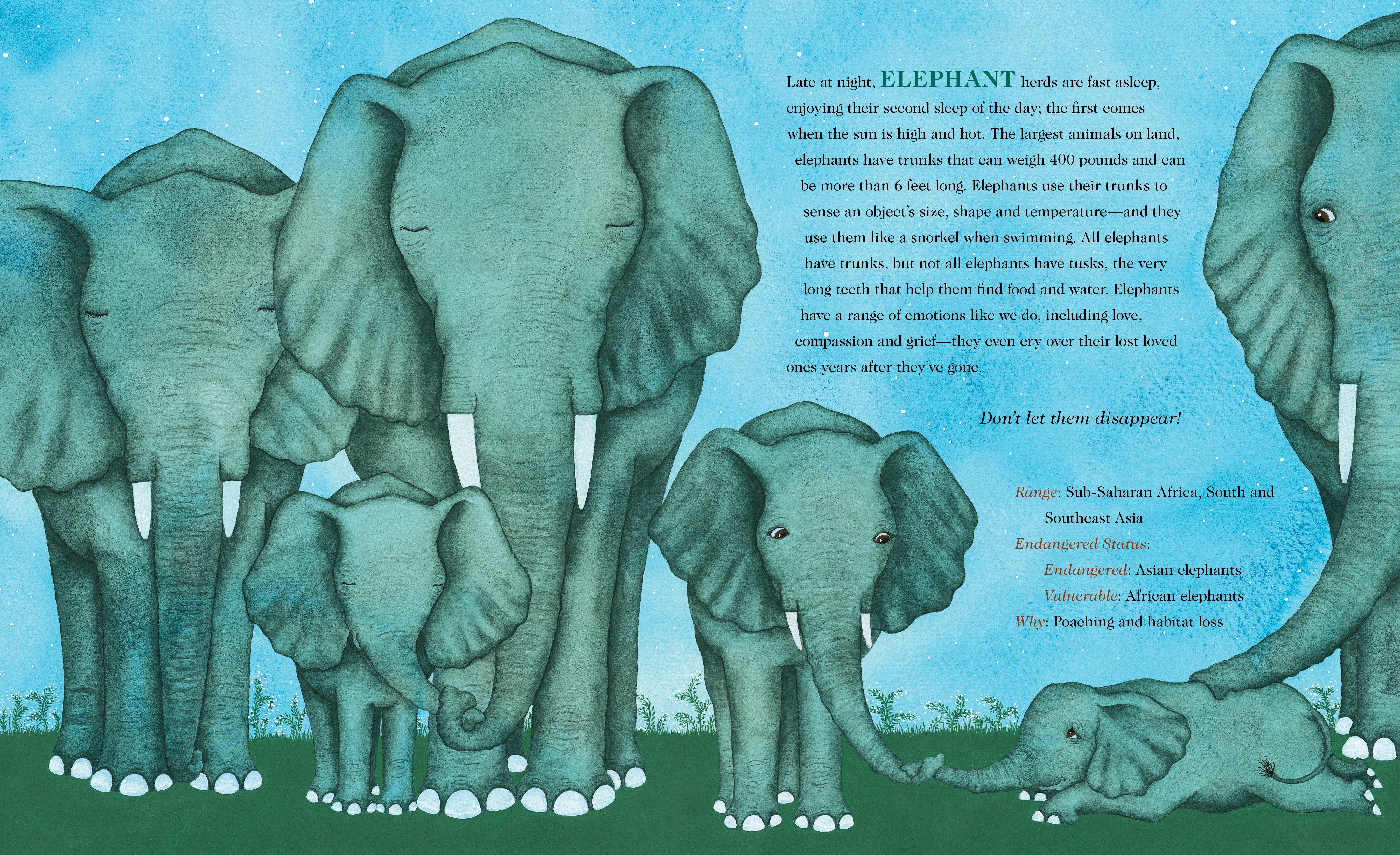 Chelsea Clinton Shares Her New Picture Book, 'Don't Let Them Disappear ...